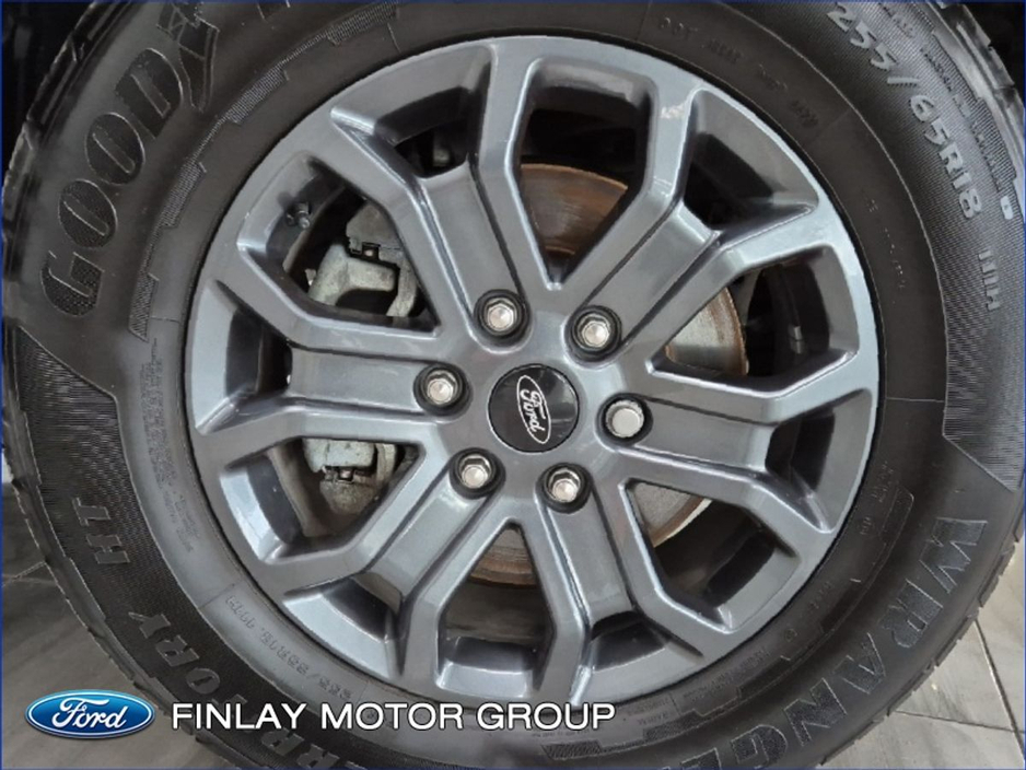 2024 Ford Ranger D/CAB WILDTRAK - 2.0TD2 | Jammer.ie